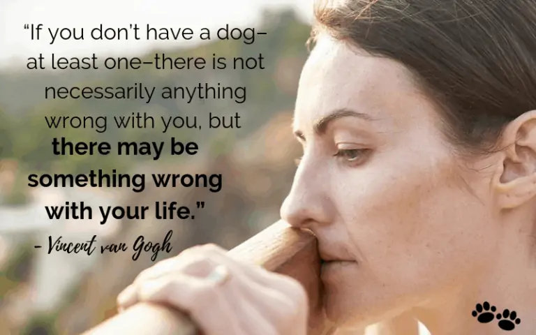 30 Inspiring Dog Quotes That Will Surely Melt Your Heart – Dogs 'N Stuff