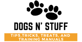 How To Discipline A Dog Without Punishment – Dogs N' Stuff