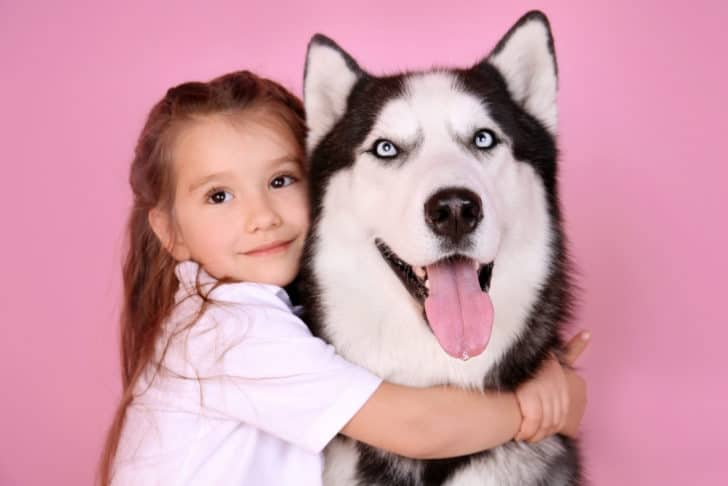 Are Huskies Good With Kids? – Dogs 'N Stuff